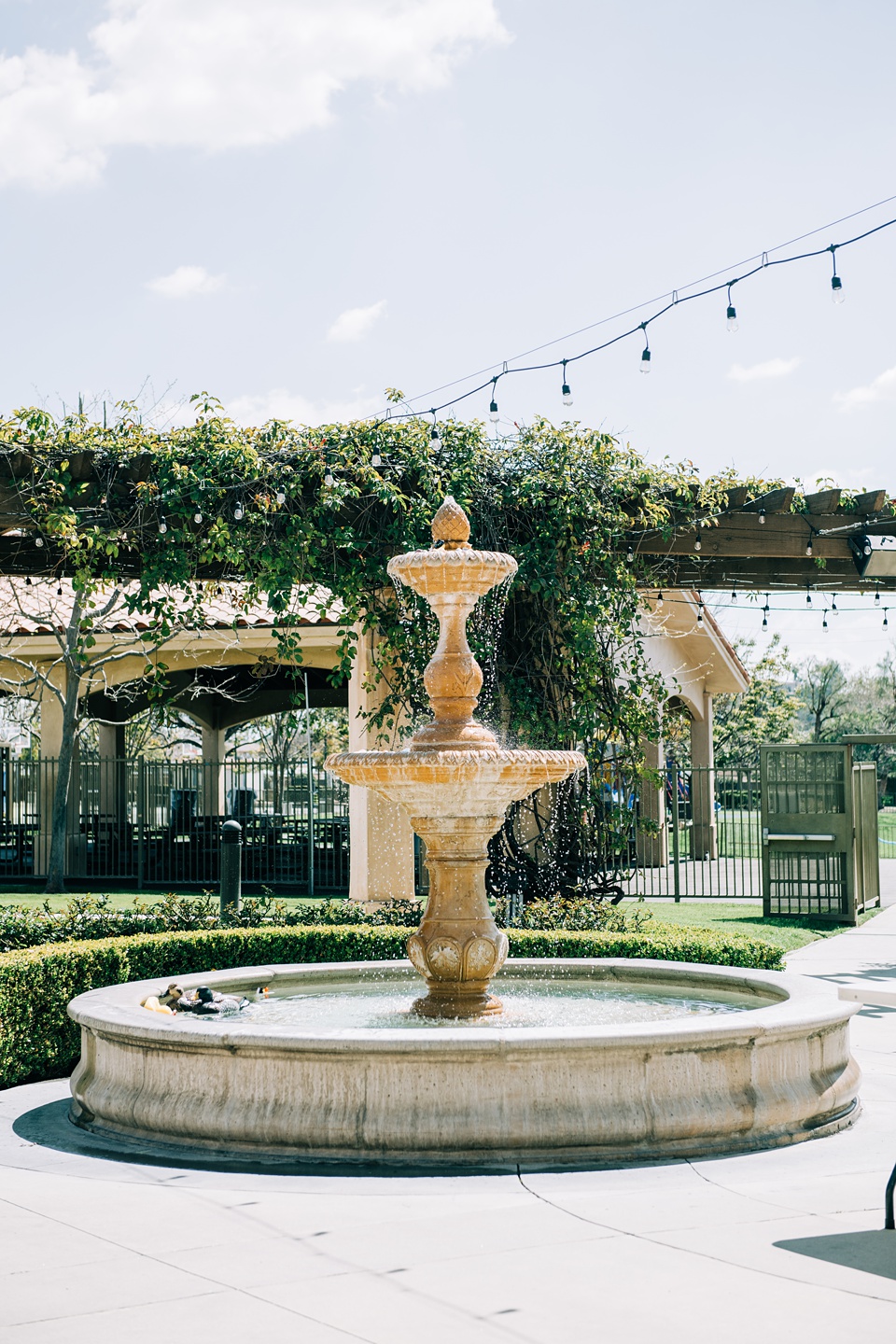 Catholic wedding outside of church 60 photos - Astyledwedding.com